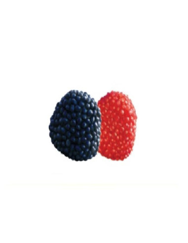GOMAS DAMEL MORAS C/GRANIT NEG/ROJ 1KG